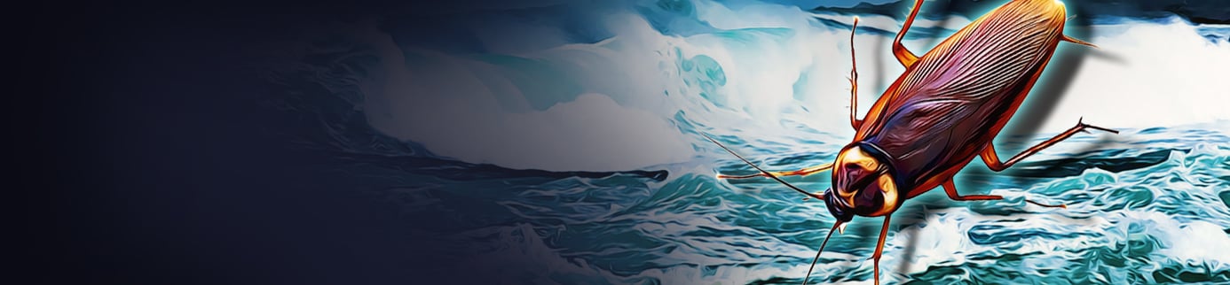 Carefully Constructing a Cockroach (Portfolio) with Mutiny Funds Jason ...